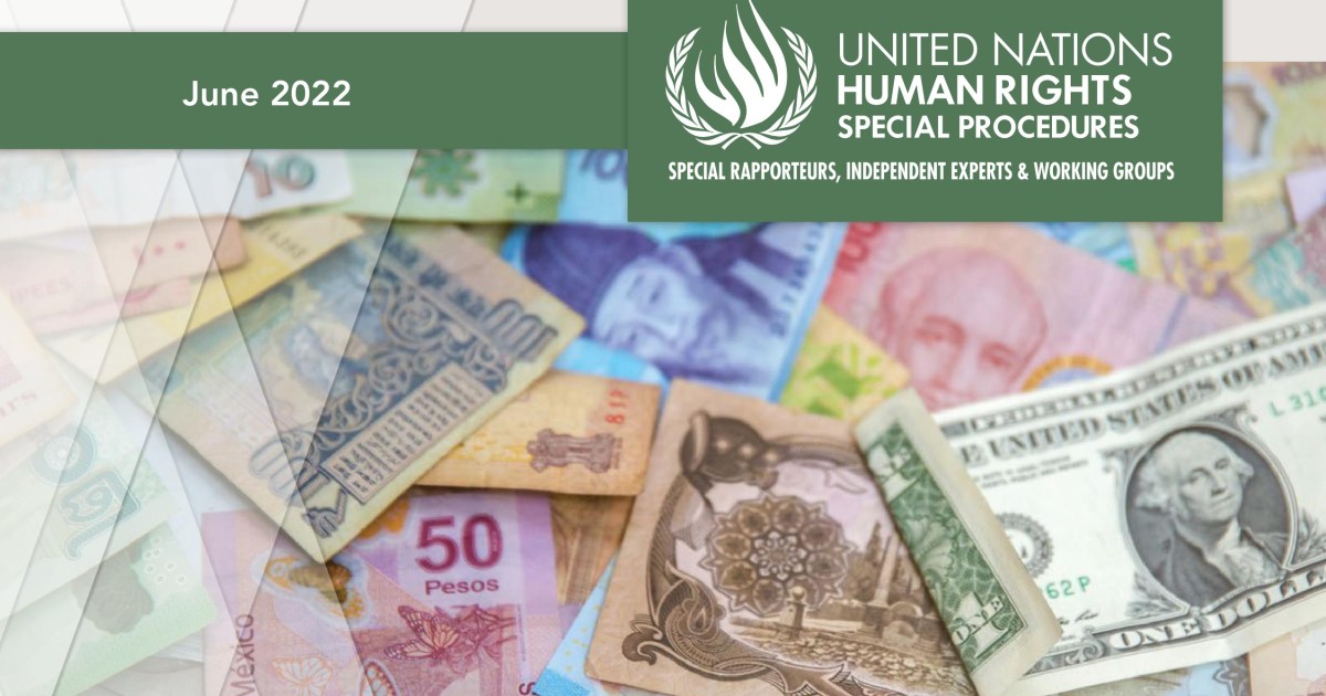 New UNSR position paper on 'The Human Rights and Rule of Law ...